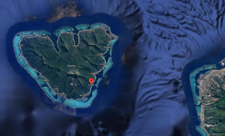 Un chasseur sous-marin décédé à Moorea • TNTV News - Tahiti Nui Télévision