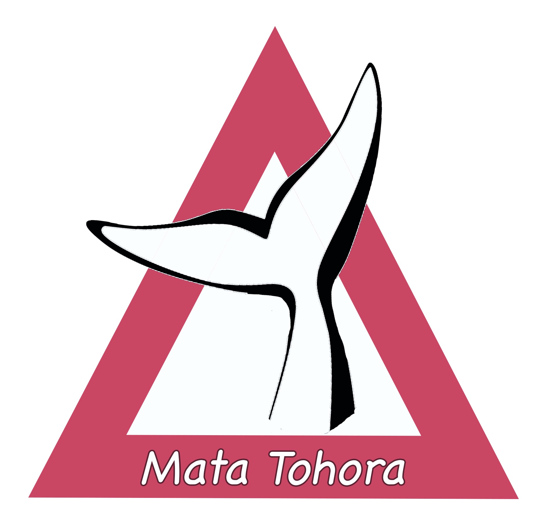 Baleines repérées près de l'entrée de la passe de Papeete, appel à la ...