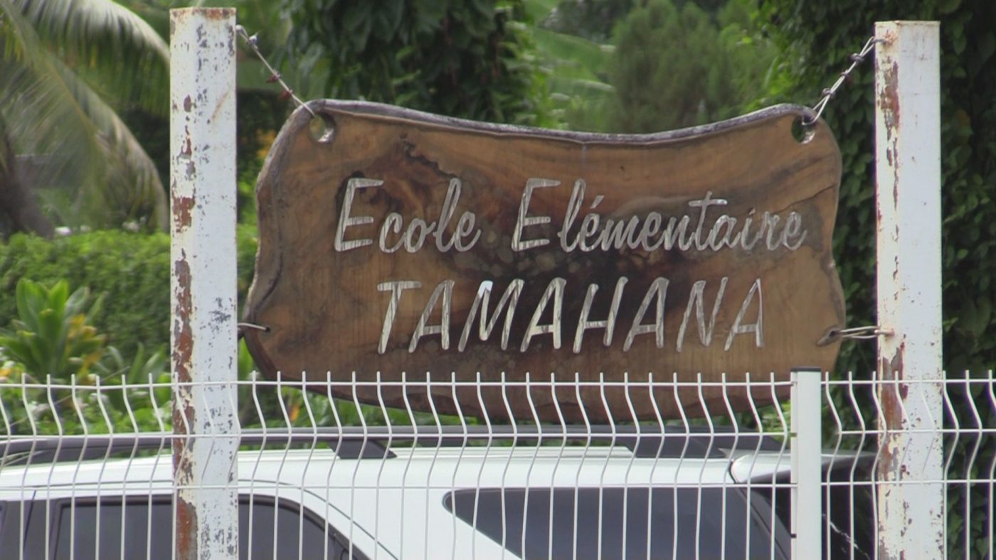 École Tamahana : des parents indignés après la découverte d'insectes ...