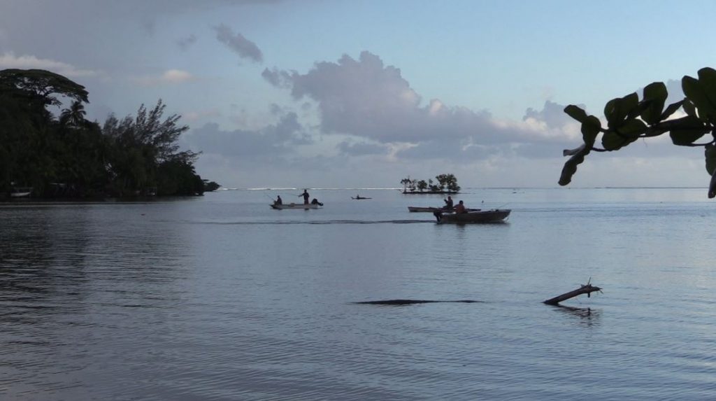 Deux nouveaux rahui à Raiatea et Teva I Uta • TNTV News - Tahiti Nui ...