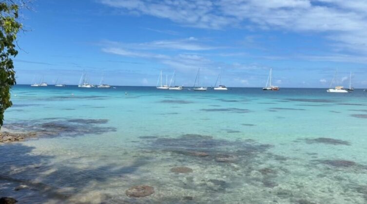 Fakarava sous tension face à l’afflux croissant de voiliers • TNTV News ...