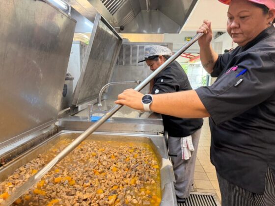 Quand le taro local s'invite au menu de 7 000 élèves des îles Sous-le ...